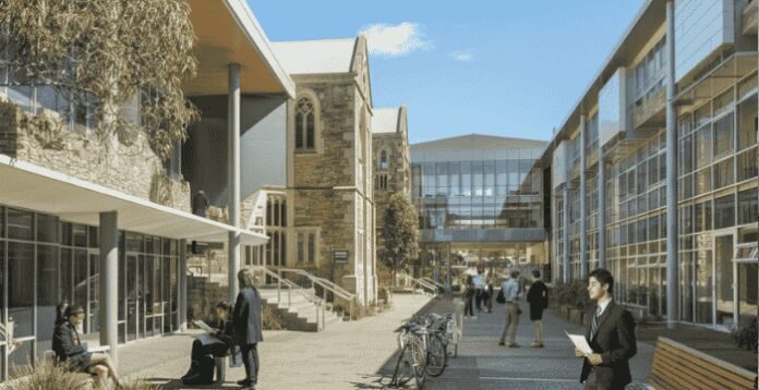 Level 2 Universities In Australia: Experts’ Latest Guide 2025